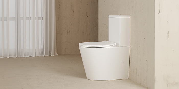 How to choose the right type of toilet in New Zealand for your bathroom?